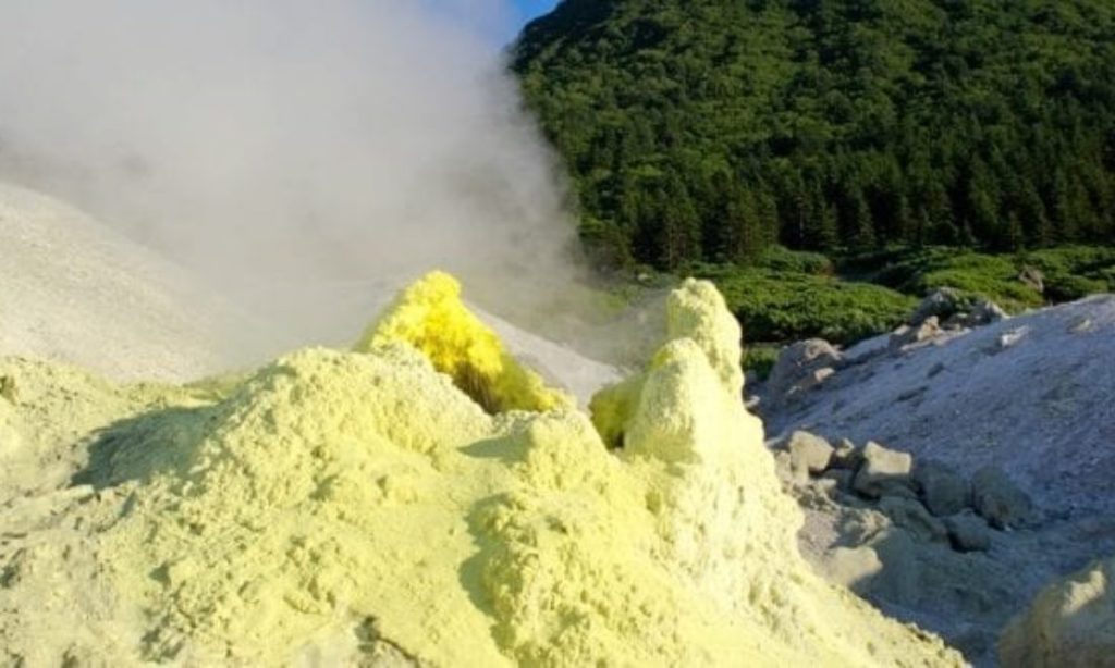 Analysis of Combustion Characteristics of Industrial Sulphur Powder ...